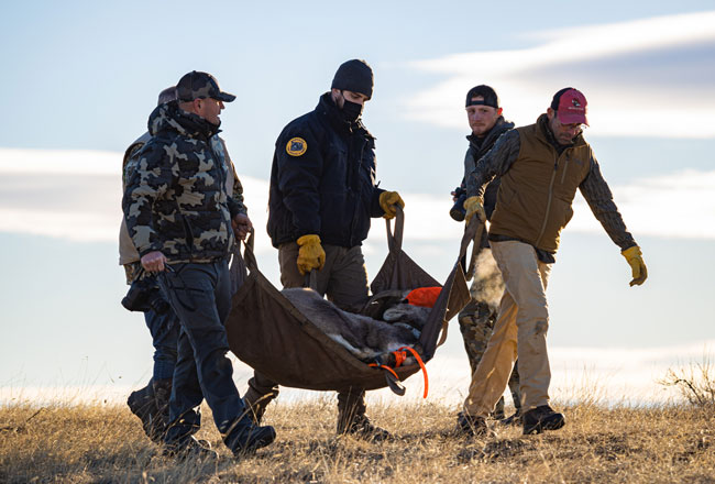 ABOUT FWP :: Employment | Montana FWP