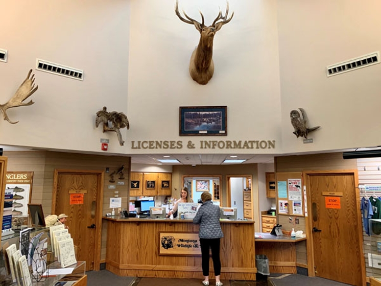 FWP Region 1 (Northwest Montana) | Montana FWP