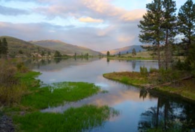 FWP Region 1 (Northwest Montana) | Montana FWP