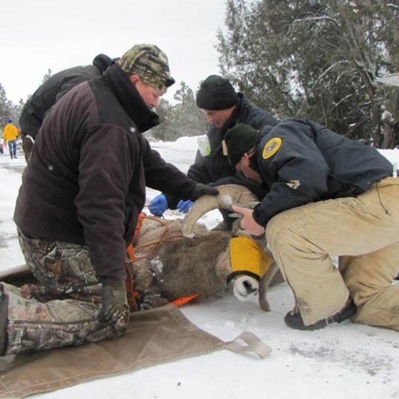 Region 2 | Montana FWP