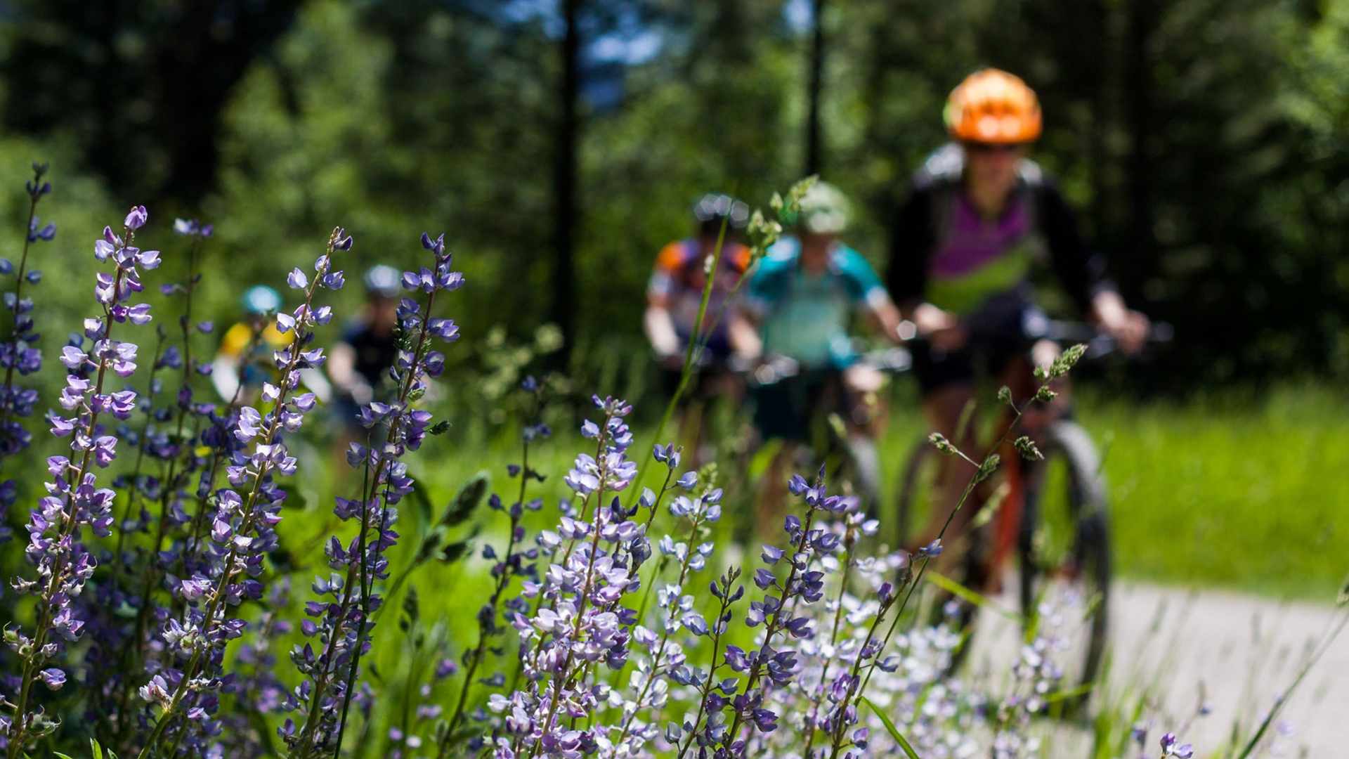 Home Page | Montana FWP