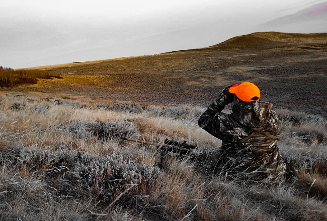 Hunt In Montana | Montana FWP