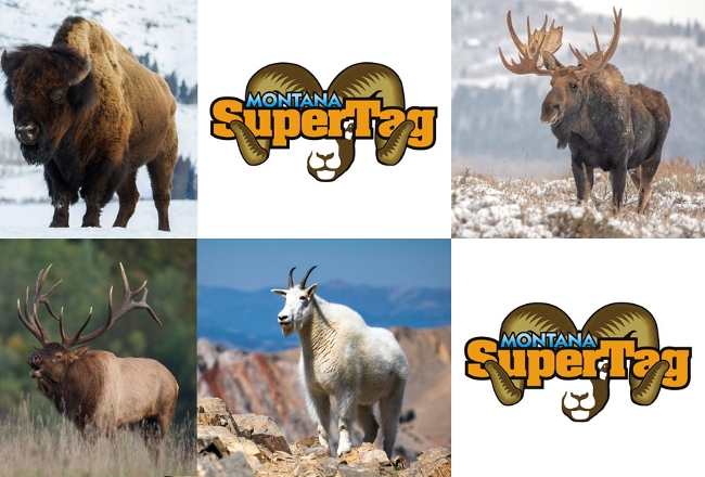 HUNT :: Hunting Licenses & Permits | Montana FWP