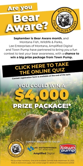 Bears In Montana | Montana FWP