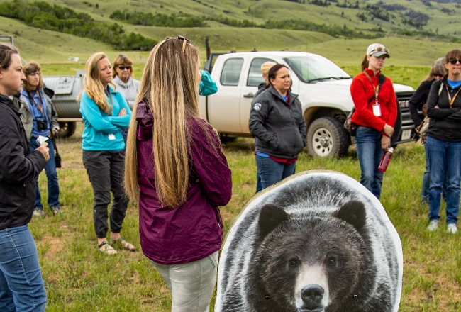 Bears In Montana | Montana FWP