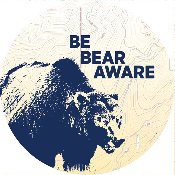 Bears In Montana | Montana FWP