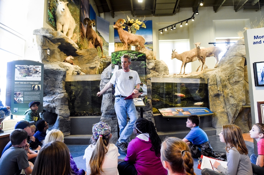EDUCATION :: Montana WILD | Montana FWP