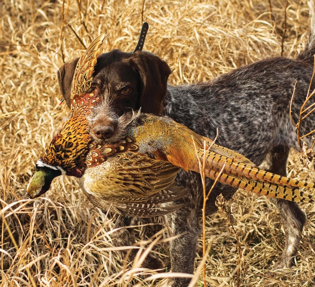 Home Page | Montana FWP