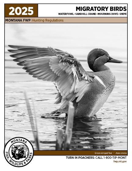 HUNT :: Hunting Regulations | Montana FWP