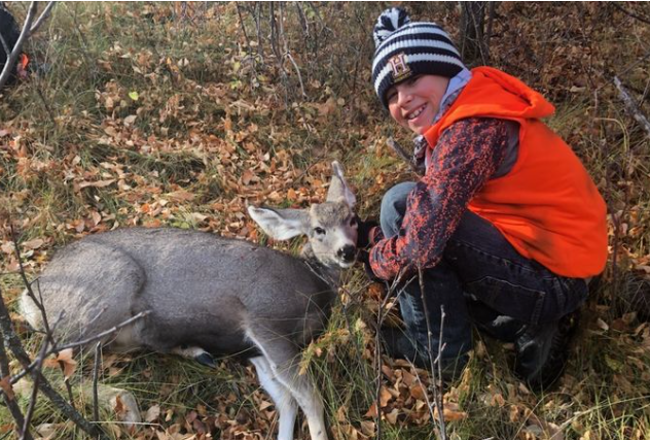 CONSERVATION :: CWD Management | Montana FWP