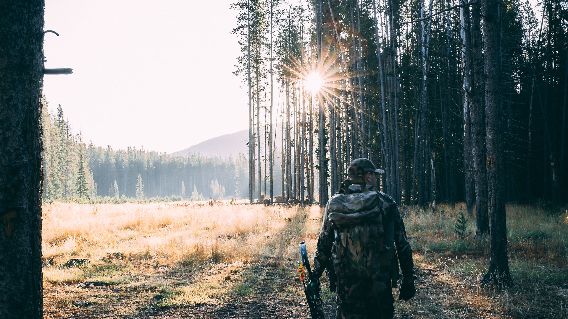 Home Page | Montana FWP