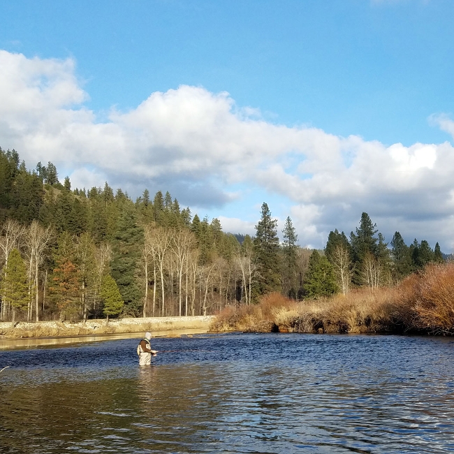 ABOUT FWP :: Fish And Wildlife Commision | Montana FWP