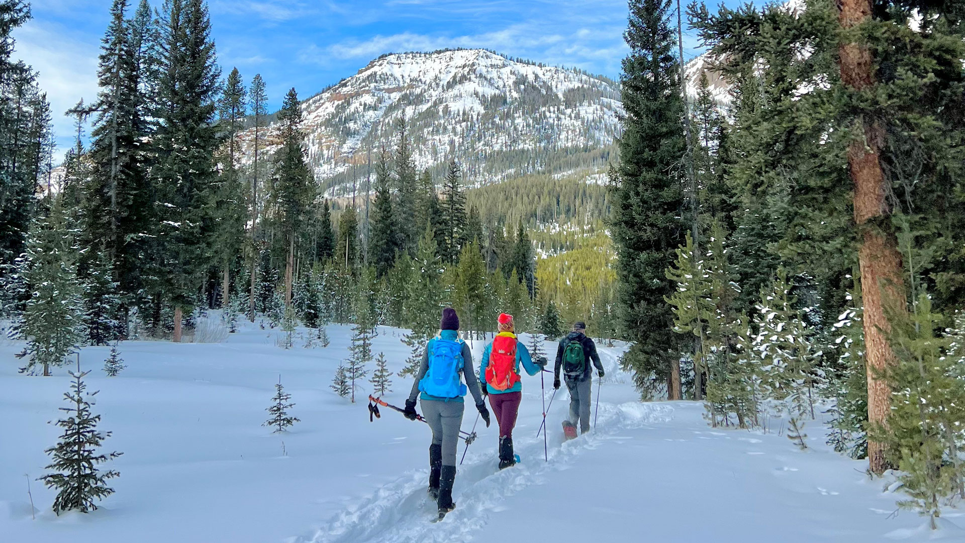 Home Page | Montana FWP