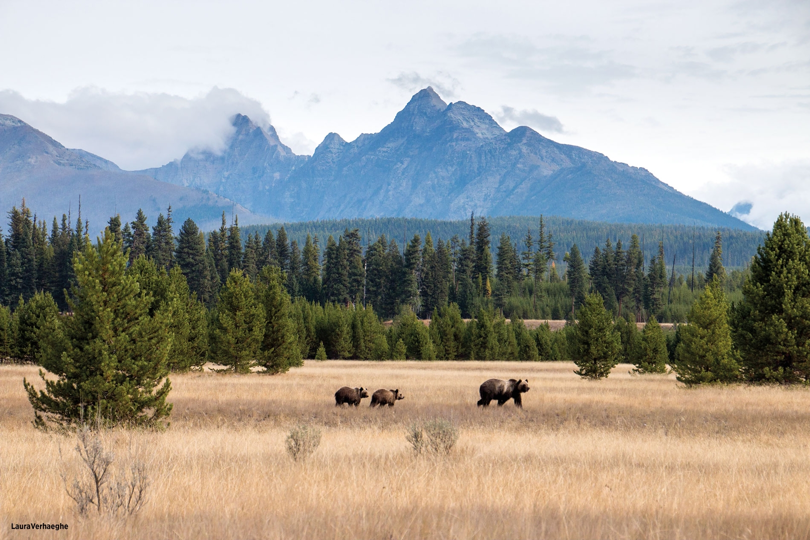 ABOUT FWP :: Montana Outdoors Magazine | Montana FWP