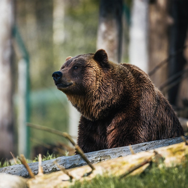 ACTIVITIES :: Camping | Montana FWP