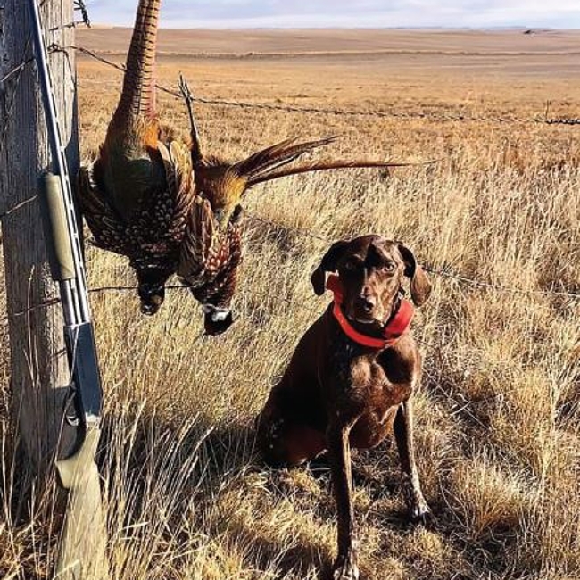 Home Page | Montana FWP