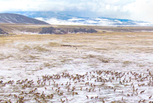 ABOUT FWP :: Fish And Wildlife Commision | Montana FWP