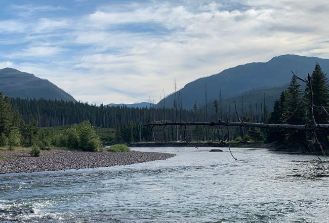 ABOUT FWP :: FWP Regions | Montana FWP