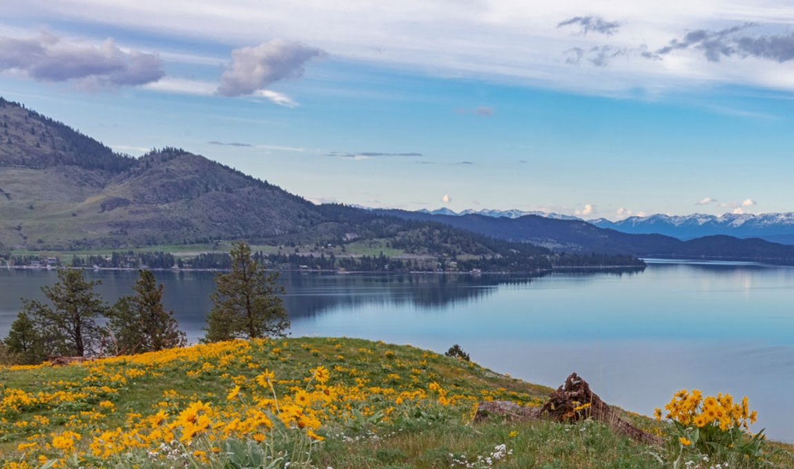 Home Page | Montana FWP