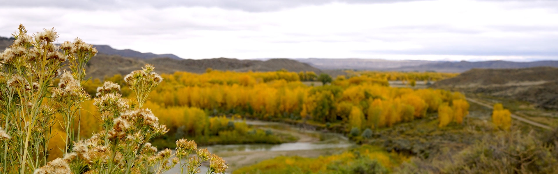 Habitat Conservation Lease Program | Montana FWP