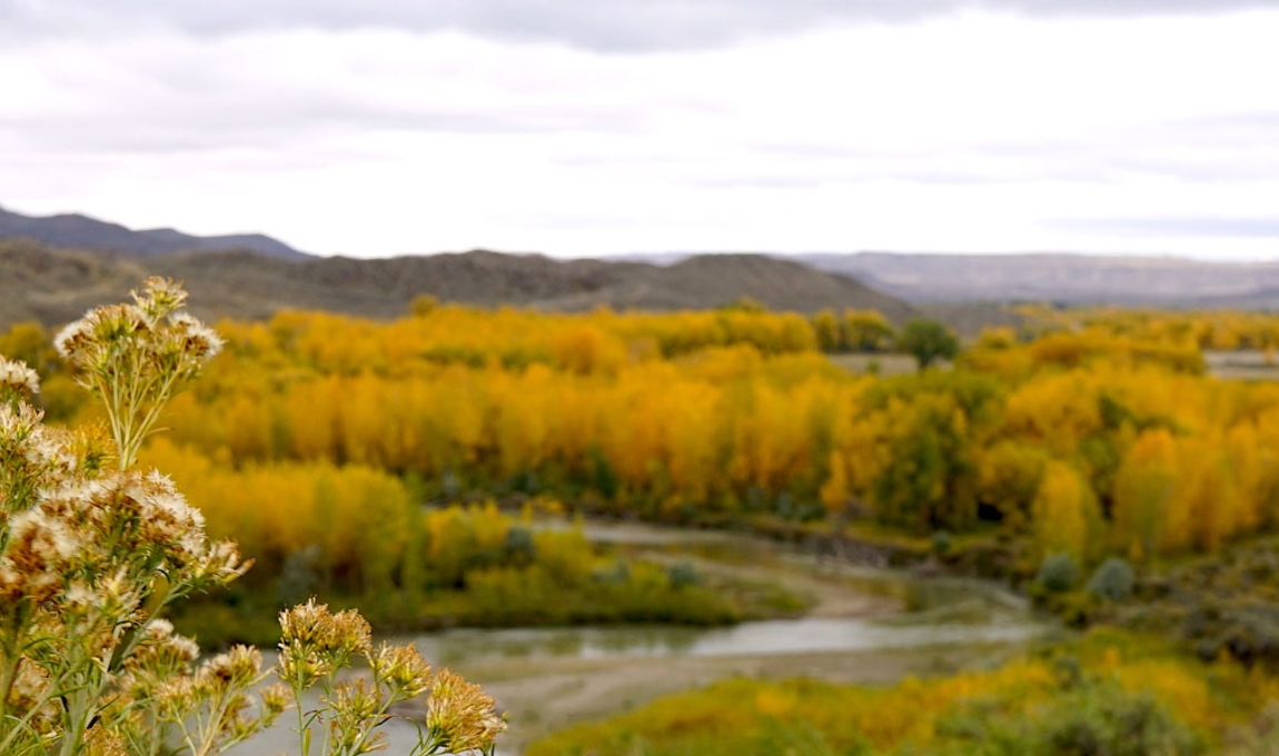 Home Page | Montana FWP