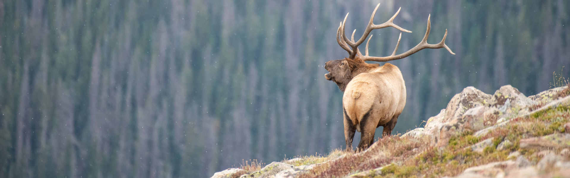 ABOUT FWP :: Employment | Montana FWP