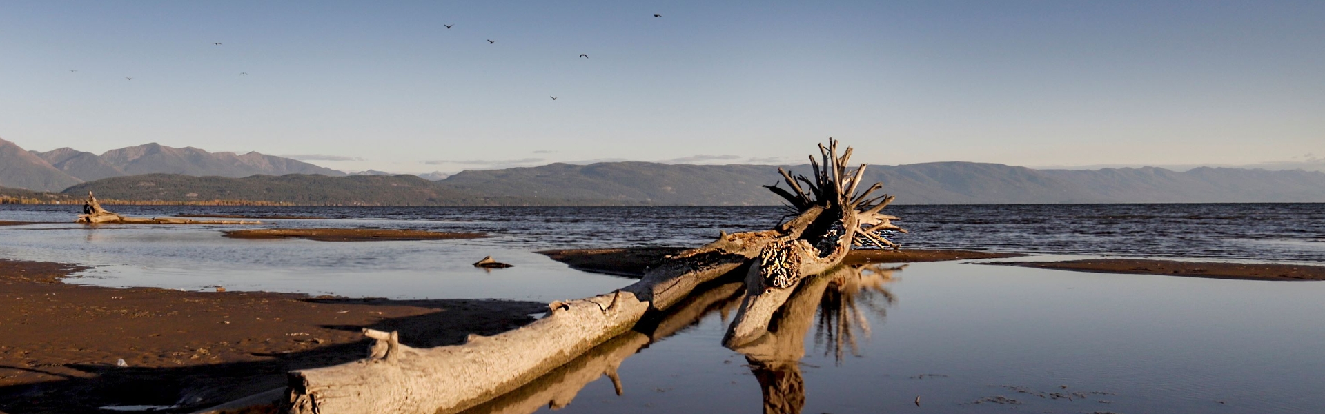 Somers Beach State Park Planning Project | Montana FWP