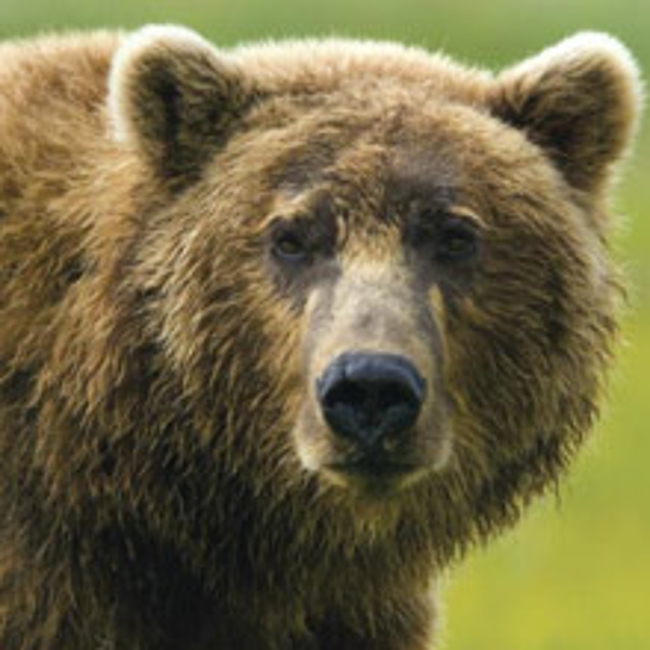 Home Page | Montana FWP