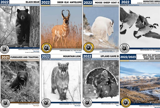 Hunt In Montana | Montana FWP