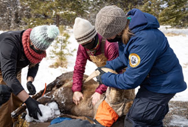 About FWP | Montana FWP