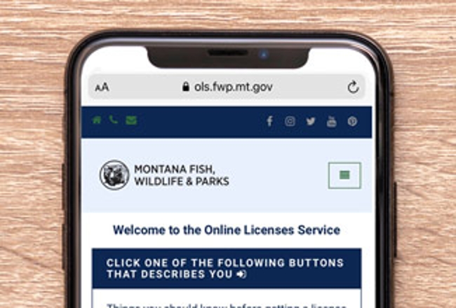FishMT | Montana FWP