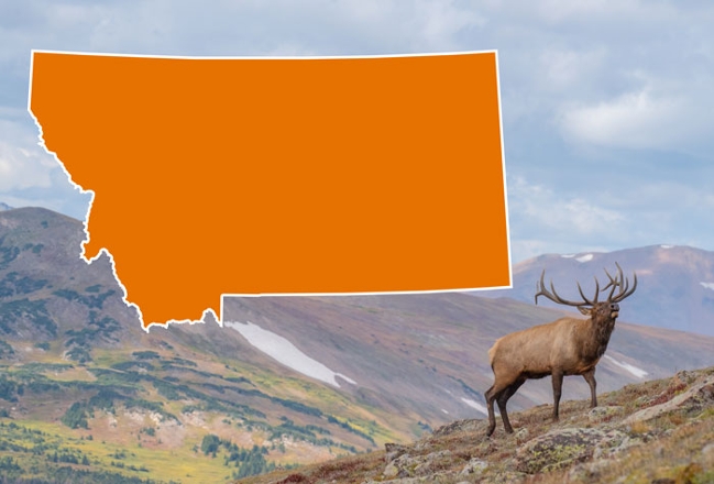 HUNT :: Hunting Licenses & Permits | Montana FWP