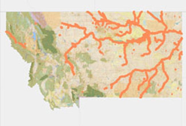 FISH :: Fish Species | Montana FWP